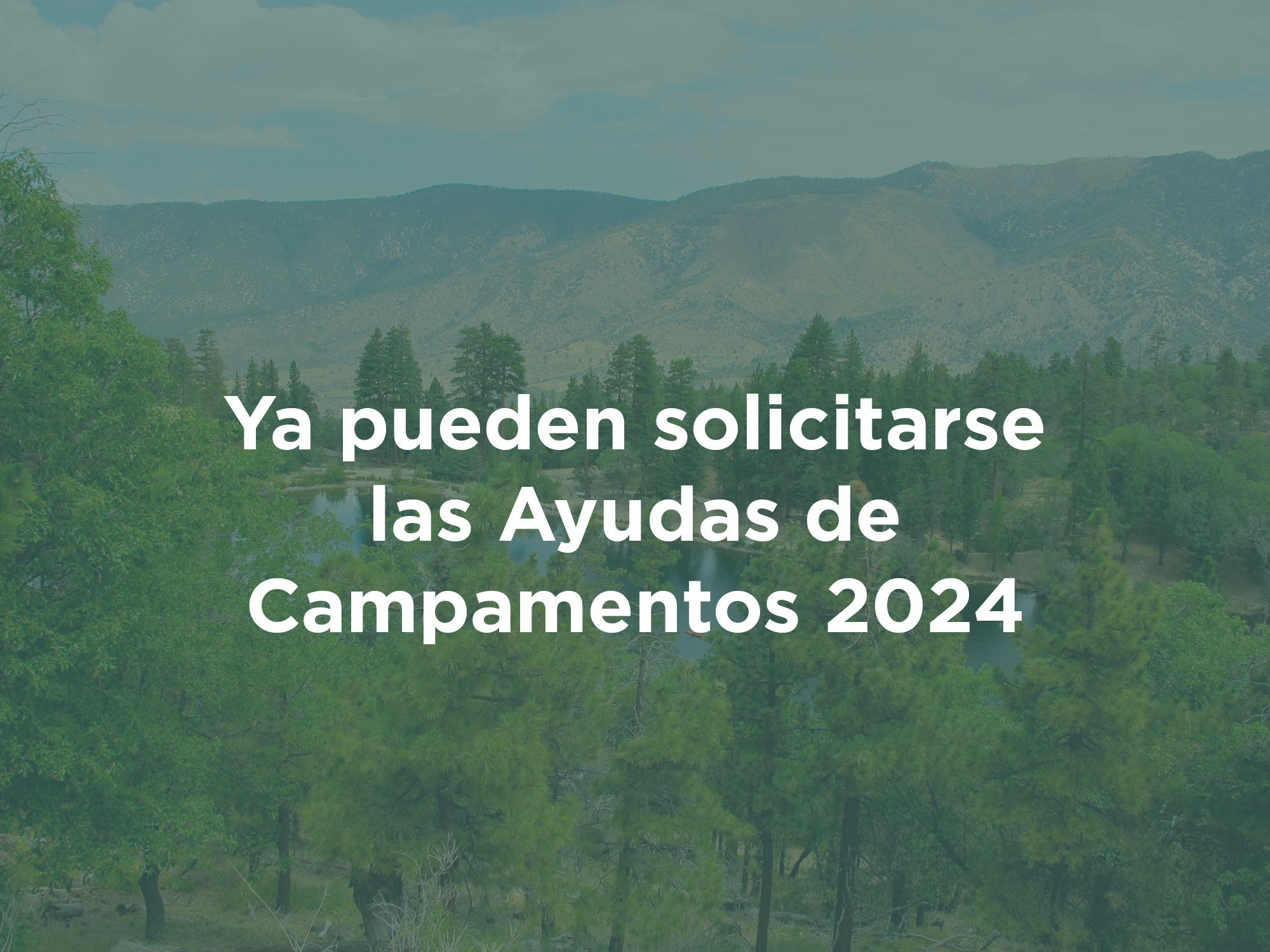 Ya pueden solicitarse las Ayudas de Campamentos 2024 - Juniors MD Ya pueden solicitarse las Ayudas de Campamentos 2024 - Juniors MD